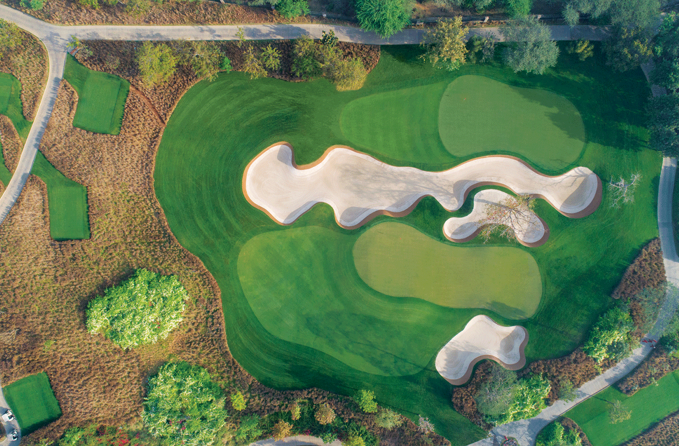 Website Redesign & Digital Campaigns | DLF | By Cog Culture