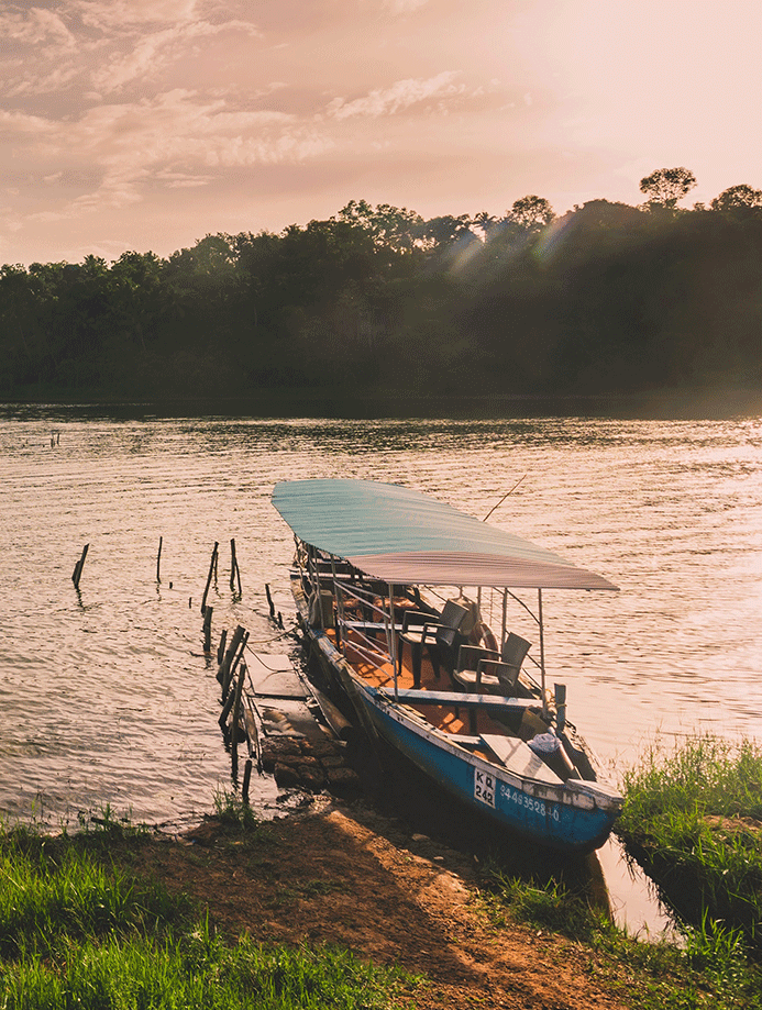 Website Redesign & Digital Campaigns | DLF | By Cog Culture